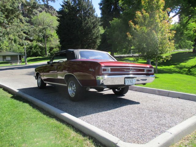 1966 Chevy Malibu Convertable for sale: photos, technical ...