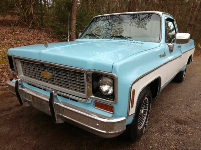 1973 Chevrolet Cheyenne super for sale: photos, technical ...