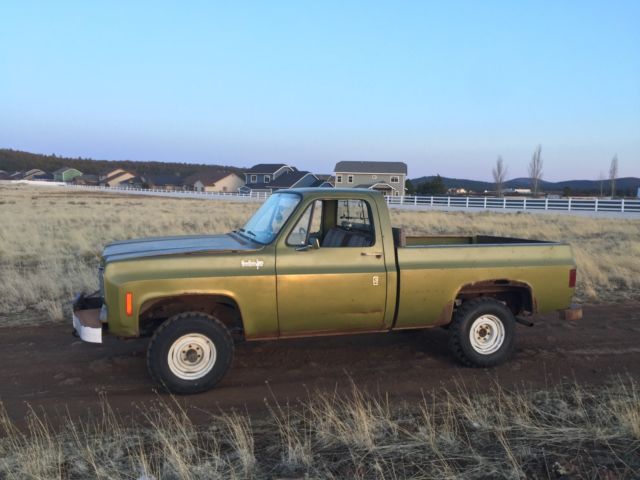 1974 Chevrolet K-10 for sale: photos, technical specifications, description