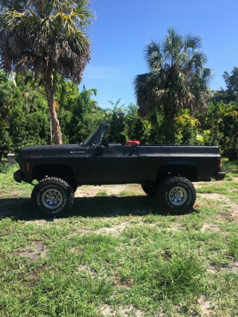 1975 Chevrolet K5 Blazer convertible for sale