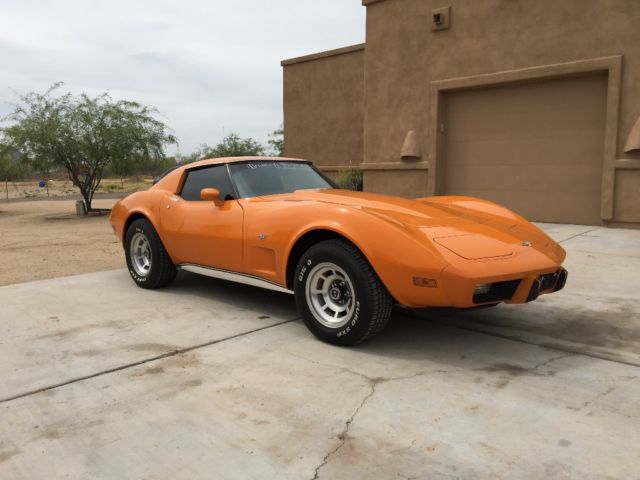 1977 Custom Corvette for sale: photos, technical specifications ...