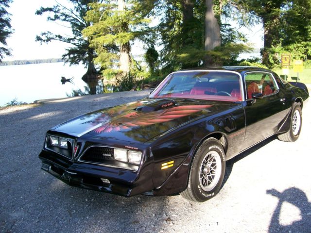 1978 Trans Am 400, 4sp. for sale: photos, technical specifications ...