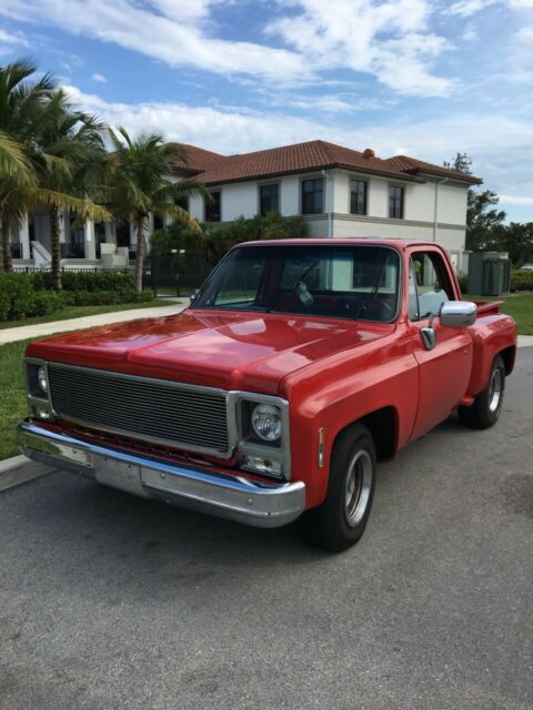 1979 Chevrolet C-10 Custom Stepside for sale: photos, technical ...