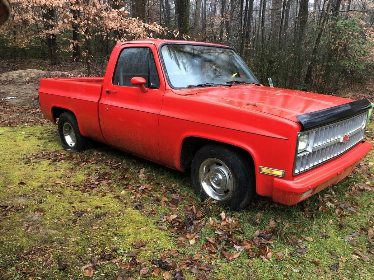 1981 Chevrolet C10 Roller tubbed for sale