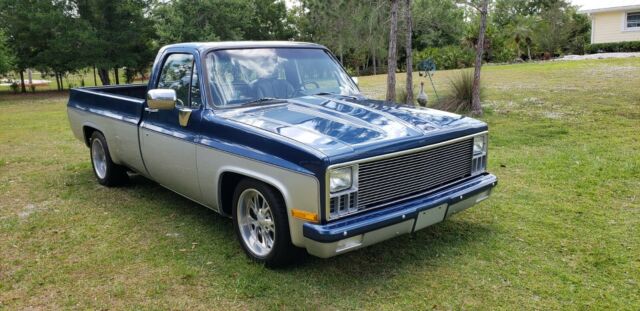 1981 chevy c10 truck custom for sale: photos, technical specifications ...