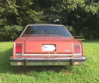 1981 Crown Victoria Limited for sale: photos, technical specifications ...