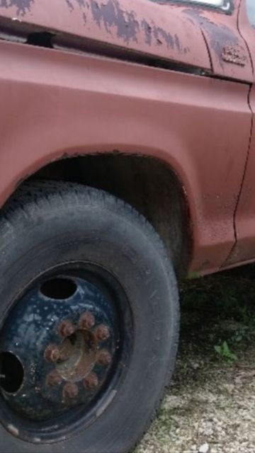 1981 F-350 DUALLY for sale: photos, technical specifications, description