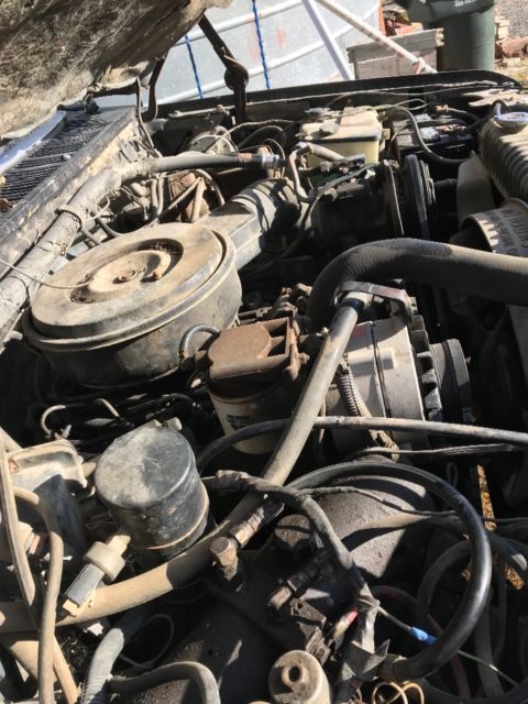 1984 Ford F-250 Deisel with plow for sale: photos, technical ...