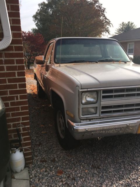 1987 Chevrolet R20 Pickup - Great Truck for sale