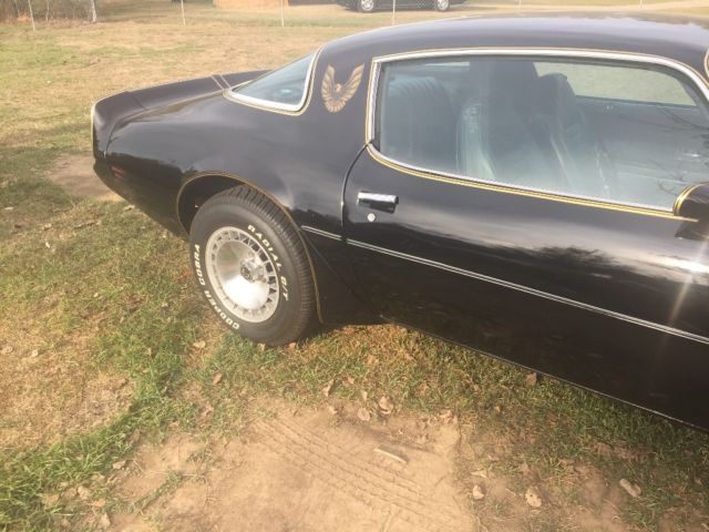 79 Pontiac Trans Am for sale