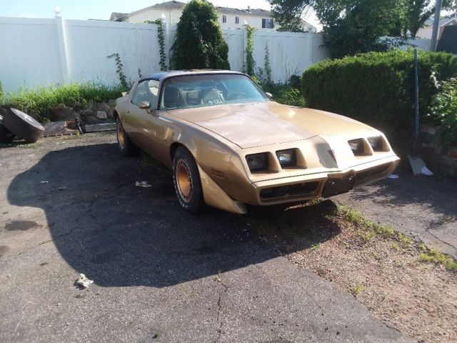 81 Trans Am for sale: photos, technical specifications, description