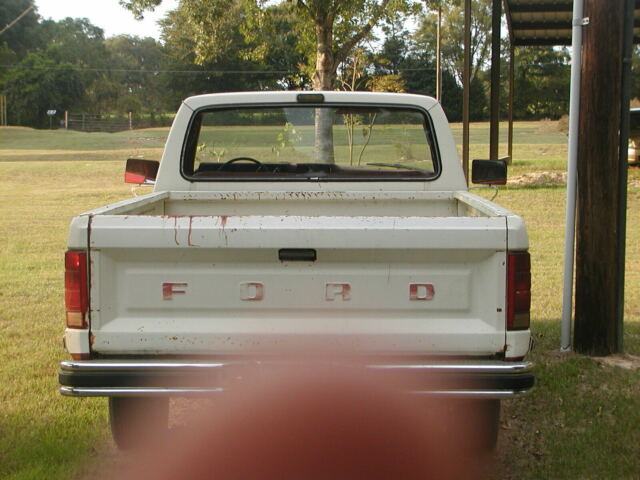 Classic 1982 Ford F-150 for sale