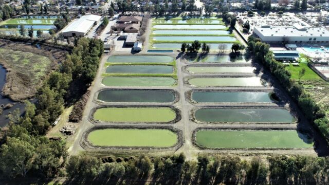 oiyy for sale: photos, technical specifications, description