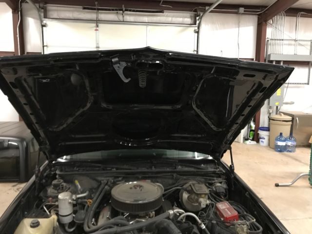 Ultimate Muscle Car in disguise for sale: photos, technical ...